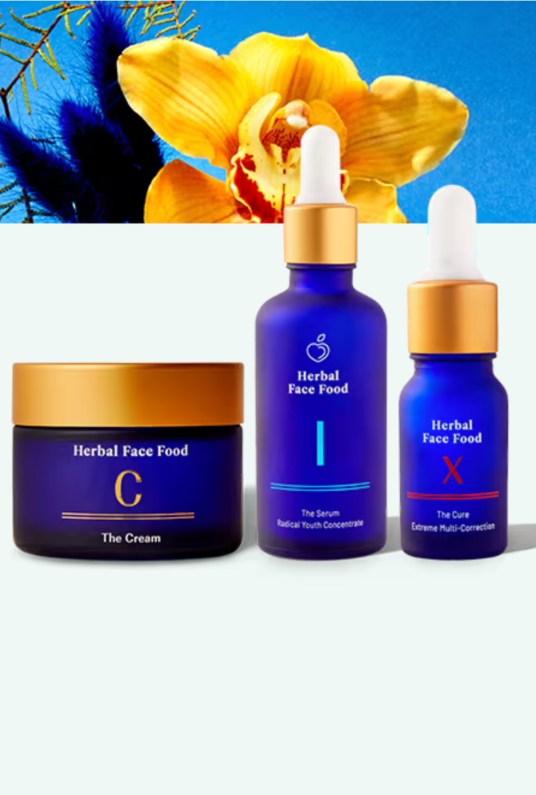 Herbal Face Food - The Starter Bundle – Beauty Shamans